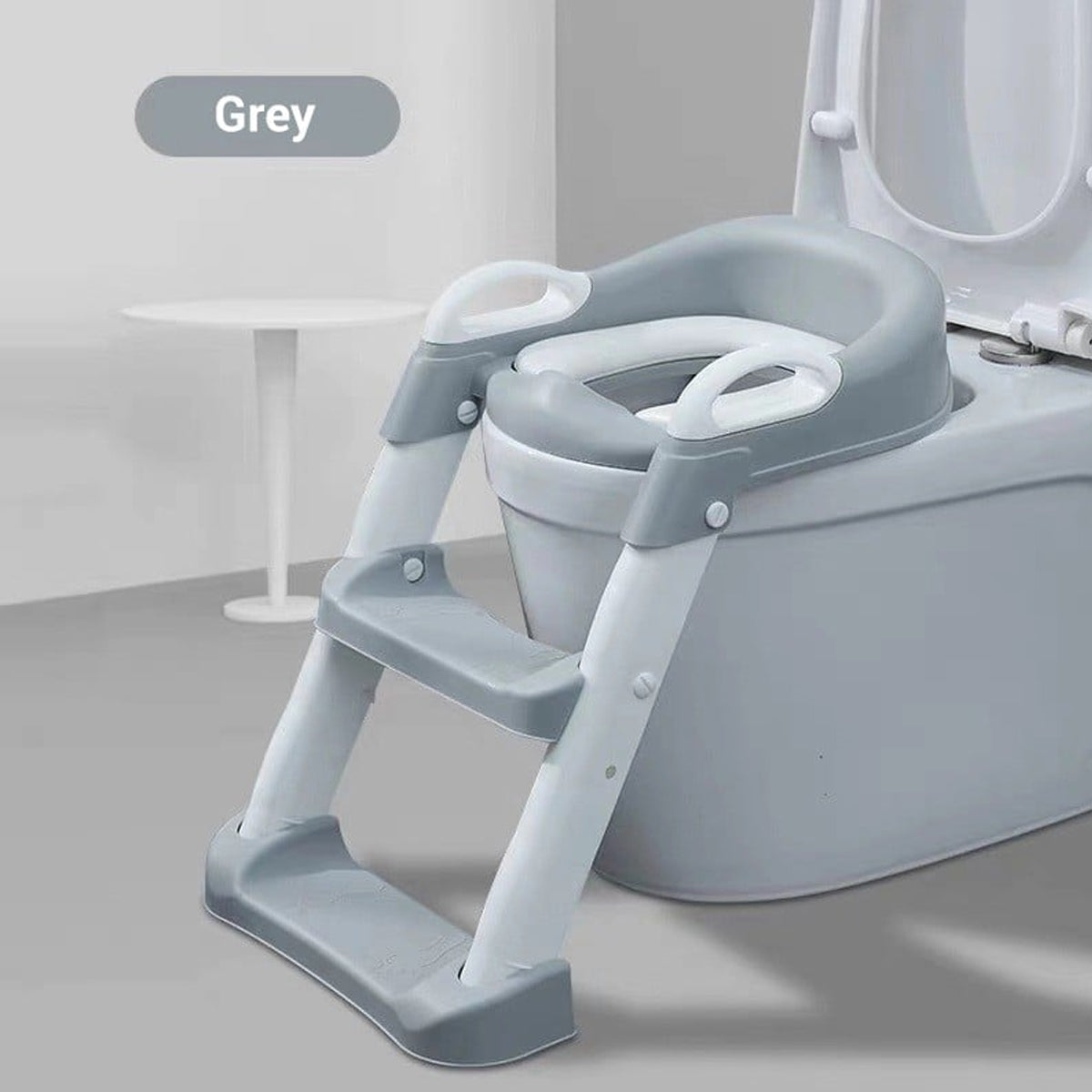 Dodo Love - Toilet Ladder – True Learning Books - ထူးထူးစာပေ